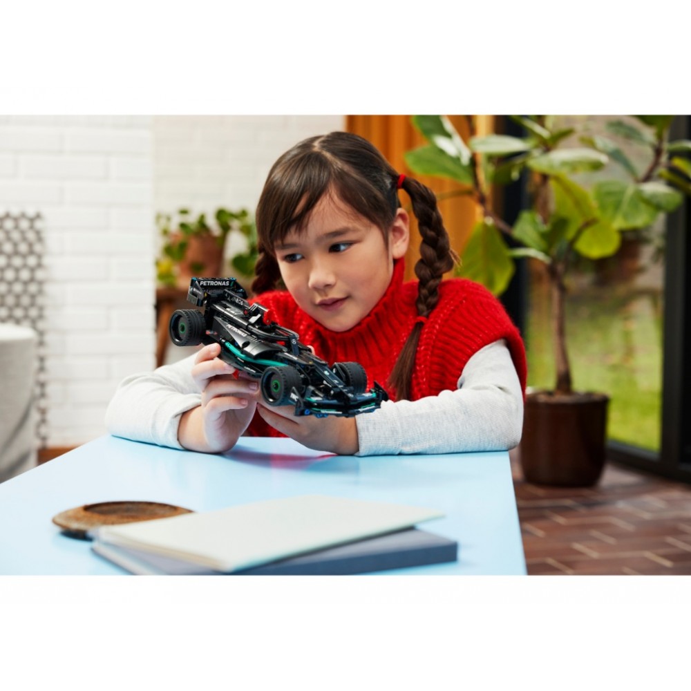 LEGO | LEGO® 42165 TECHNIC Mercedes-AMG F1 W14 E Performance Pull-Back ...